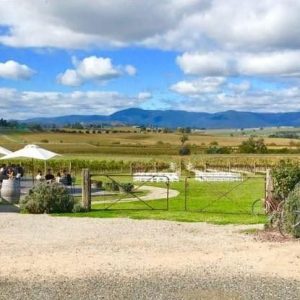 Best Season and Month to Get Married in Melbourne [2021] | TREE STUDIO